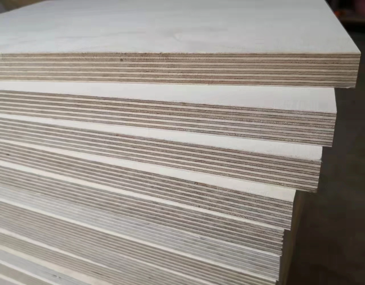 Wholesale 4x8 Baltic Full Core Birch Plywood 18mm E0 Modern Water ...