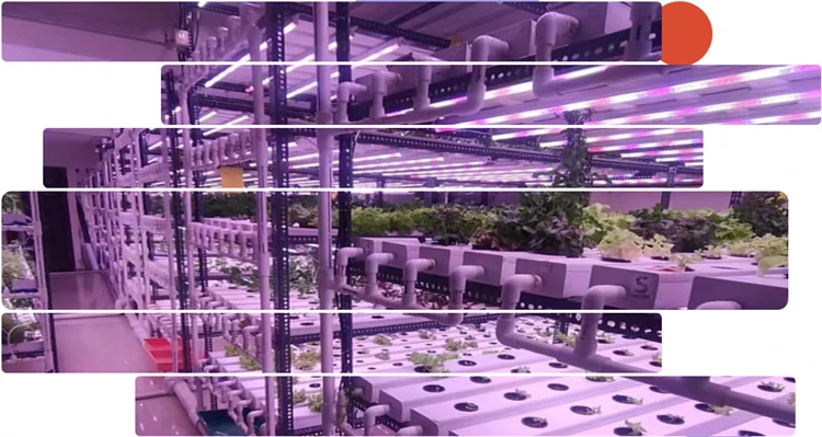 Vertical Farming Racks Grow Racks System For Indoor Hydroponic - Buy ...