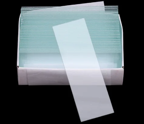 Parasites Prepared Microscope Glass Slides 7109 With Box No Plastic ...