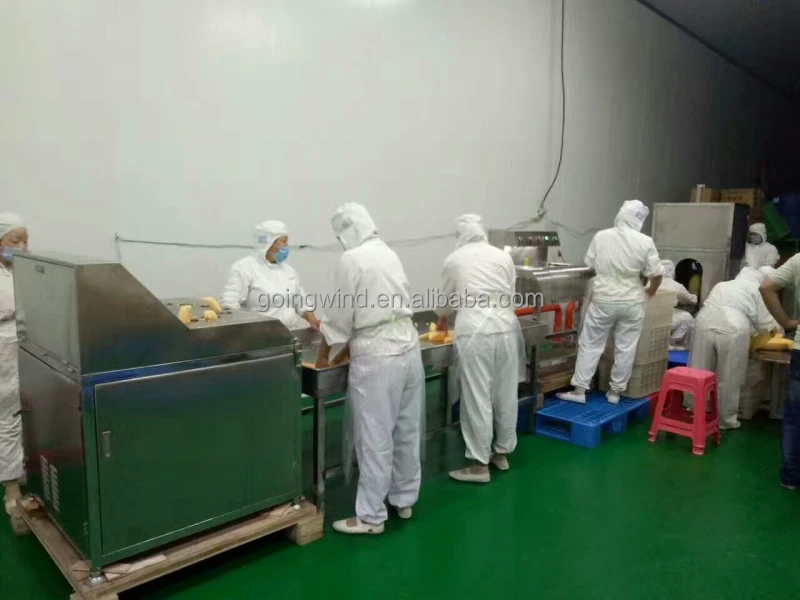 Efficient Jackfruit Peeling Machine - Auto Industrial Skinning Equipment