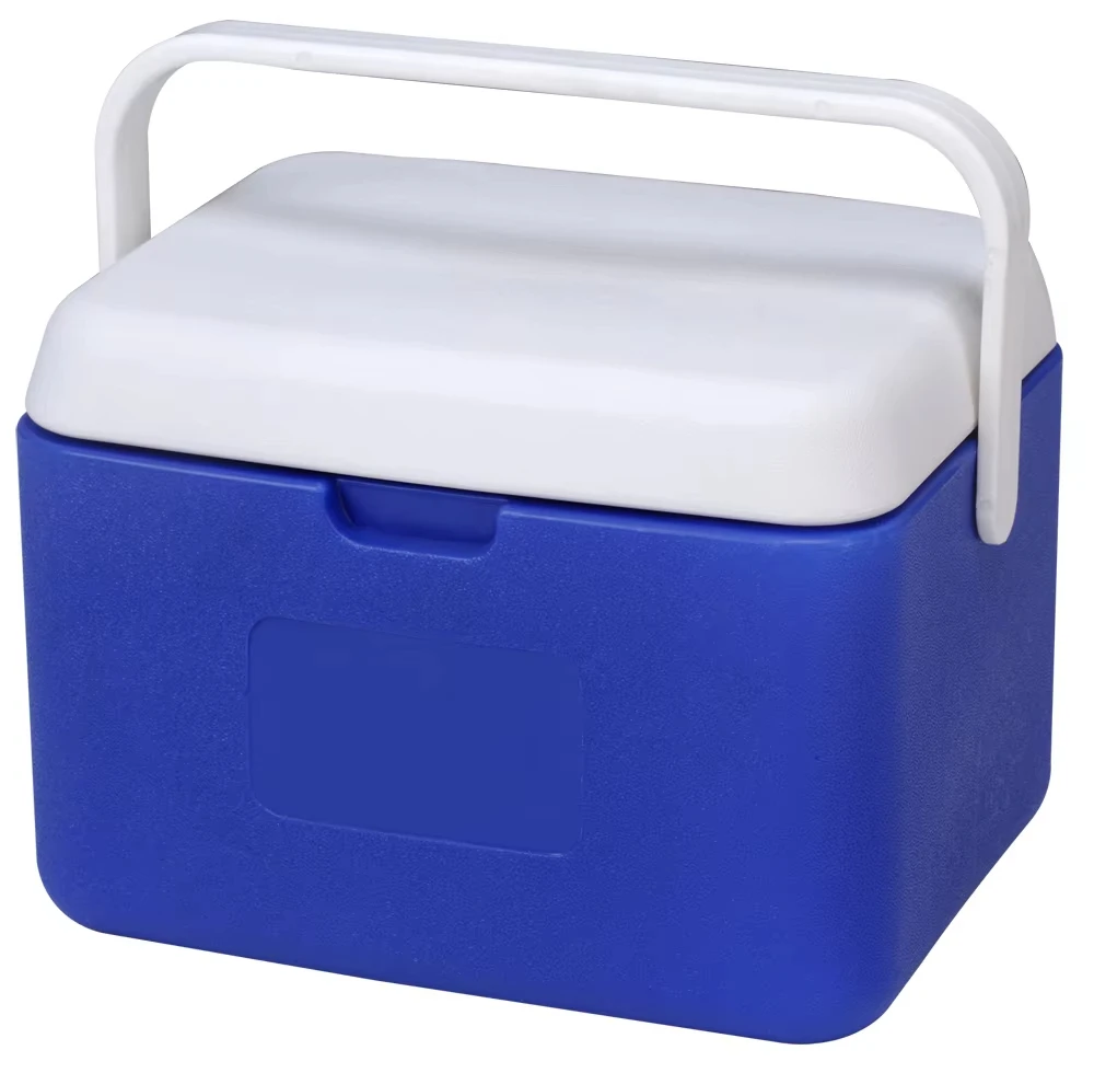 5 Liter Cooler Box for Day Trips and Errands for Storing and ...