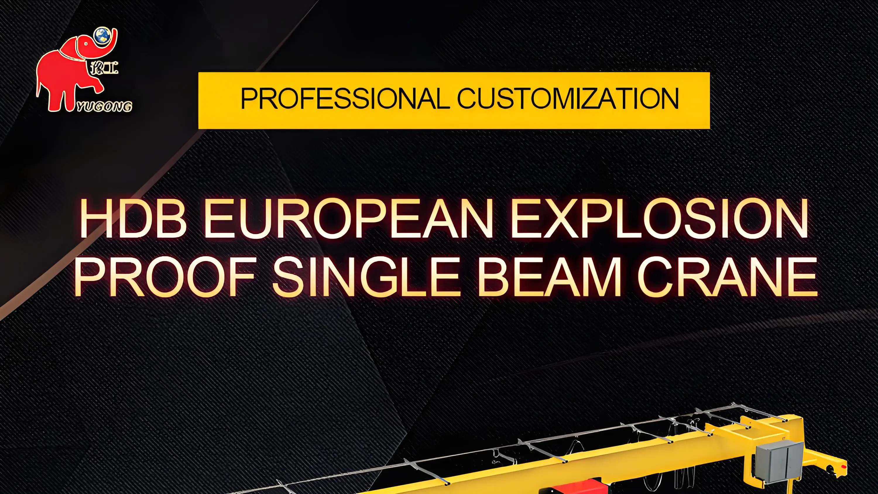 FEM Standard HDB Type Explosion Proof Single Girder Overhead Bridge ...