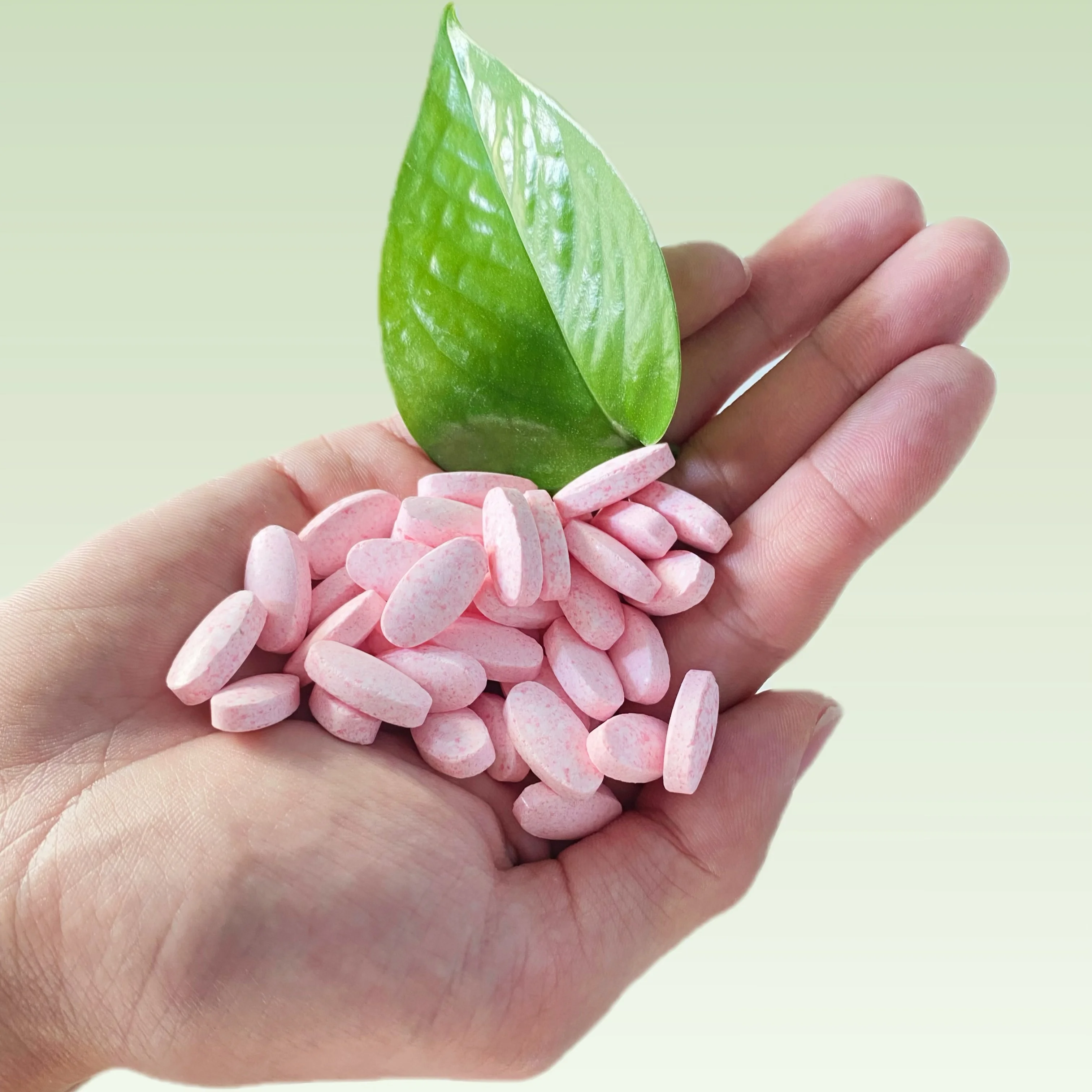 Mingquan Home Horticultural Plant Nutrition Tablets Urea 46% Nitrogen ...