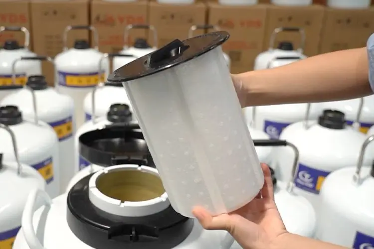 Small Dewar Vessel Flask 6l Cryogenic Cylinder Yds10 Portable Liquid ...