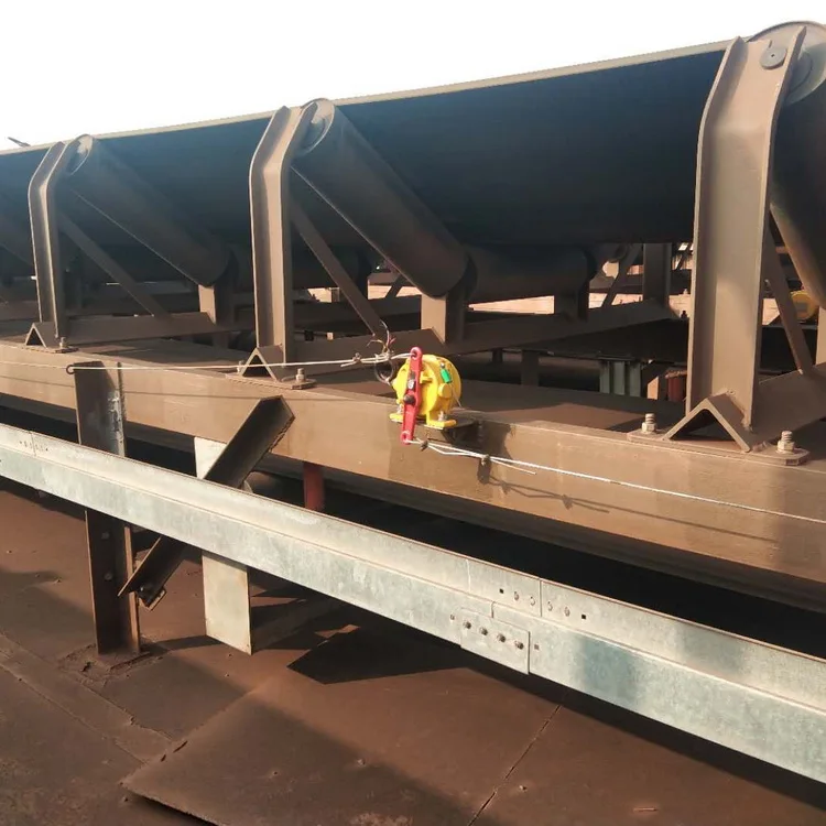 Conveyor Emergency Stop Switch - Waterproof & Explosion-proof