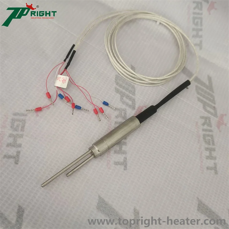 Dual Element RTD PT100 Thermocouple Temperature Sensor