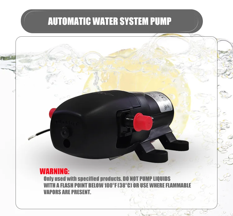 Floject RLFP222202 - Reliable Electric Water System Pump