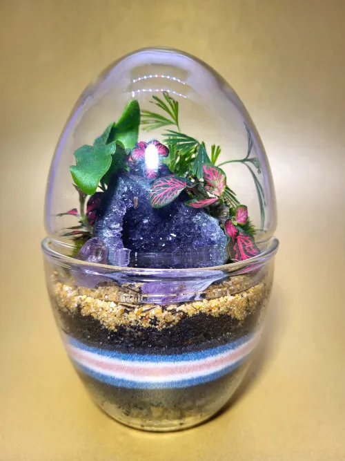 Unique Egg Shape High Borosilicate Glass Planter Terrariums