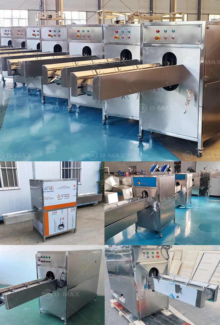 Semi Automatic Onion Root And End Cutter Machine Fresh Green And Red ...