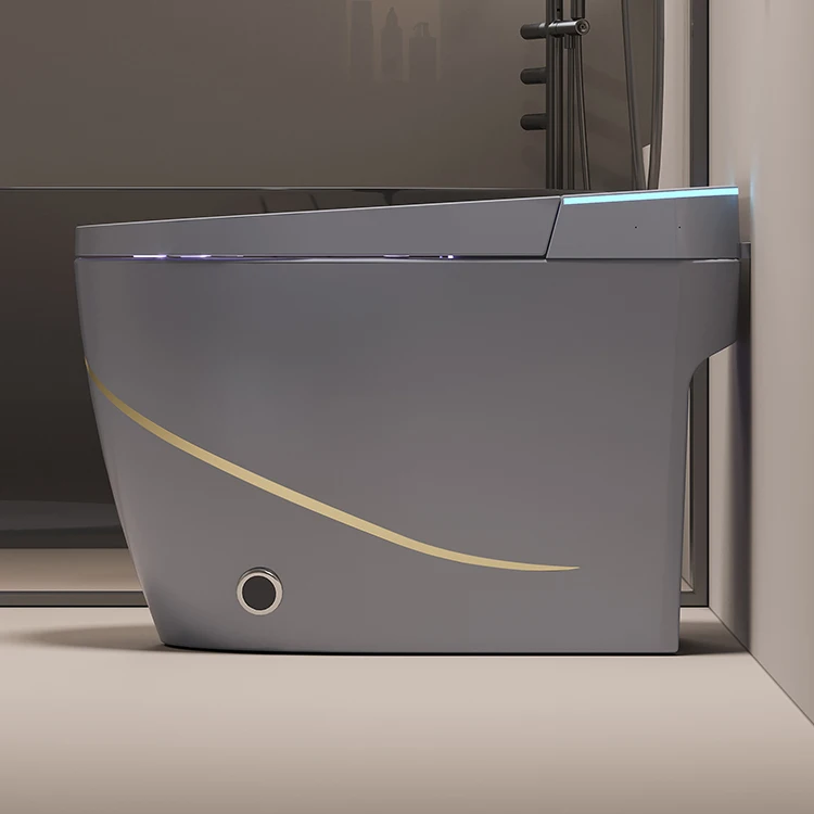 Smart WC Toilets - Intelligent, Comfortable, and Durable