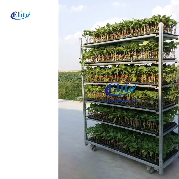Cart CC Plant Carriers Dutch Flower Trolley for Nursery & Gardeners ...