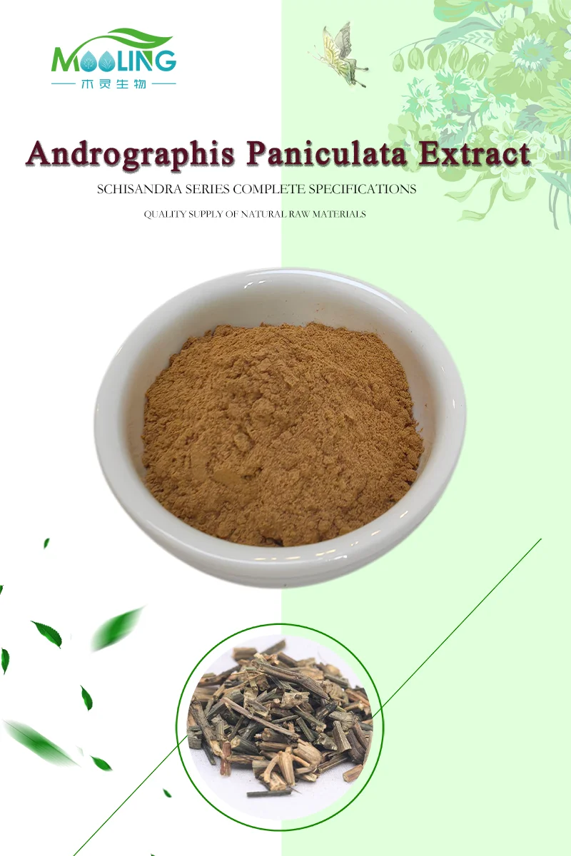 Factory Natural Supply Free Sample Andrographis Paniculata Extract ...
