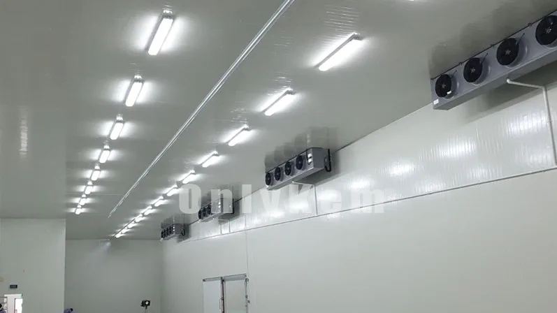 Refrigeration Camera For Sea Food,Chiller Room Cold Room For Ice Cream ...