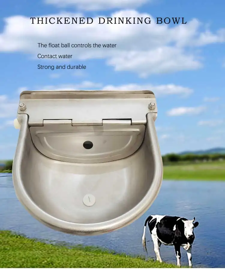 2024 New Stainless Steel Water Bowl for Automatic Farm Drinking Water ...