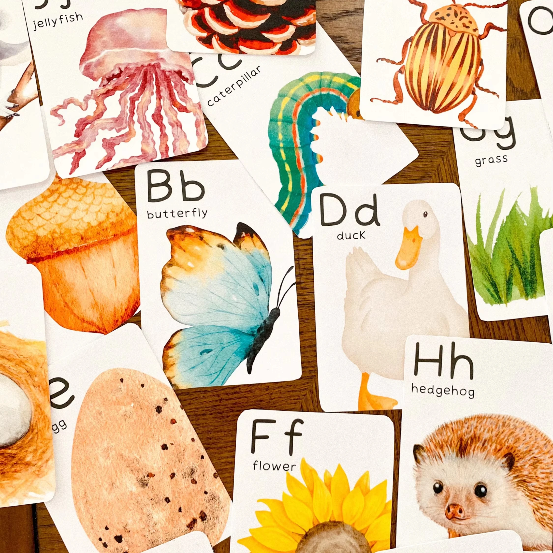 Letter Flash Card Personalized Flash Cards Child Flash Card| Alibaba.com