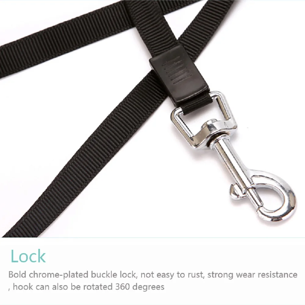 Durable Non Retractable Leashes for Dogs - Customizable