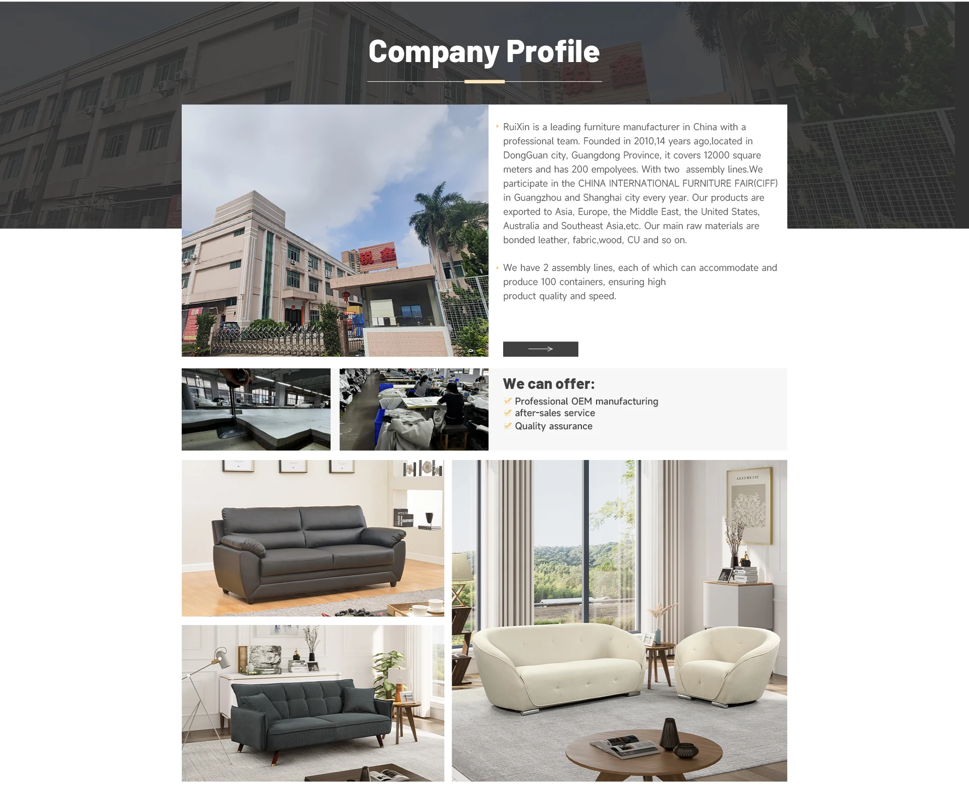 Company Overview - Dongguan Ruixin Smart Home Technology Co., Ltd.