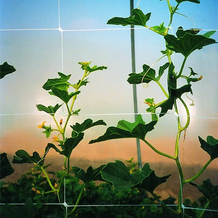 Plastic Climbing Fence Trellis Net Cucumber Garden Plant Trellis ...