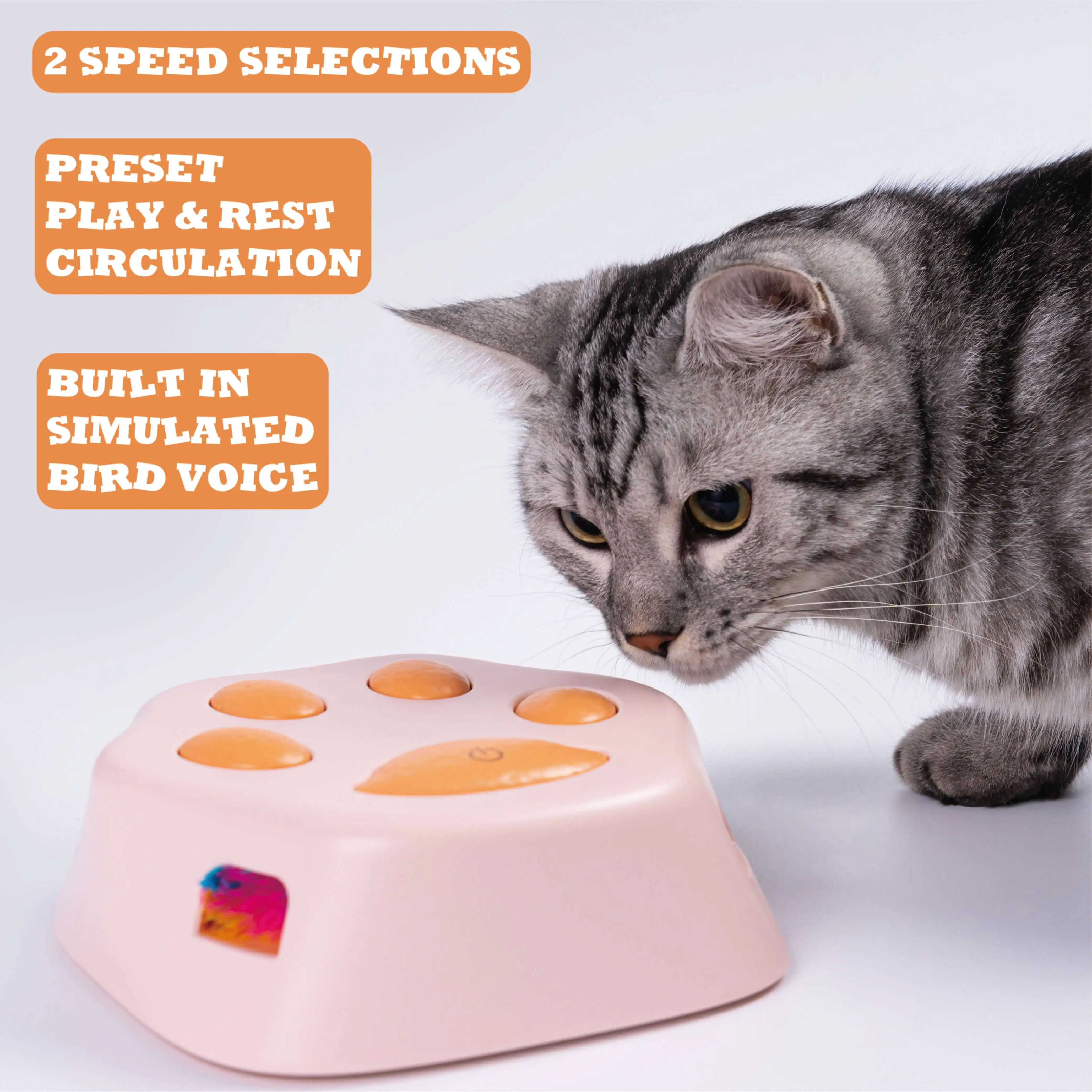 Pet Interactive Movement Toys Electrical Cat Toys Interactive Indoor ...