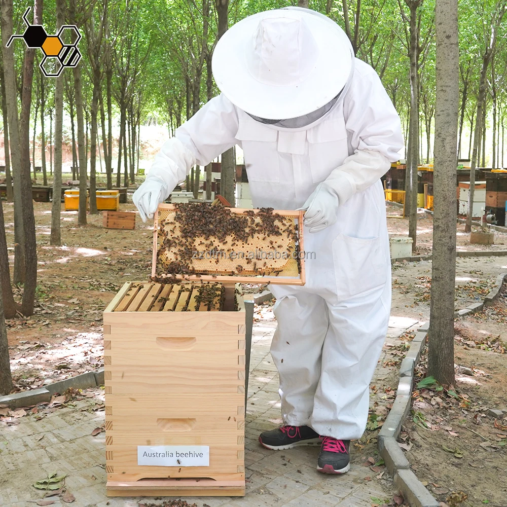 Beekeeping Equipment Australia Native Bee Hive Price 2 Deep Boxes 10 ...