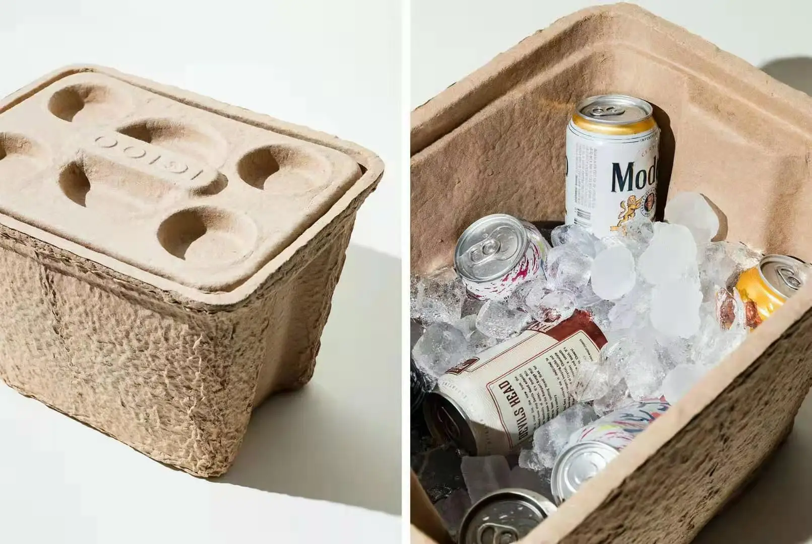 Biodegradable Pulp Storage Box - Perfect for Ice & Beer