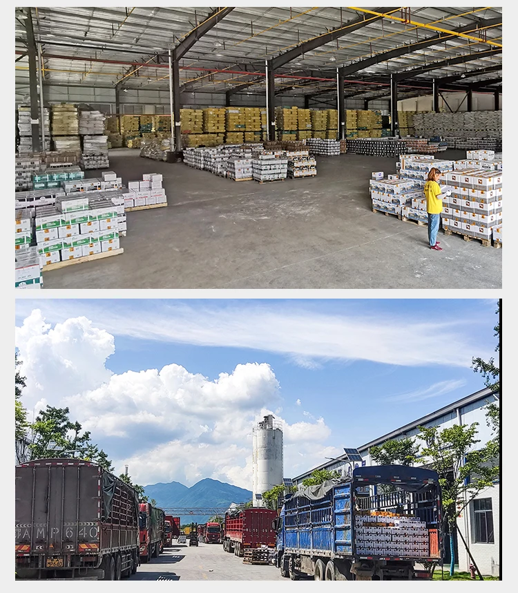 Ts-6600 Keo Silicone Chong Lao Hoa Da Nang Keo Chong Tham Keo Trong ...