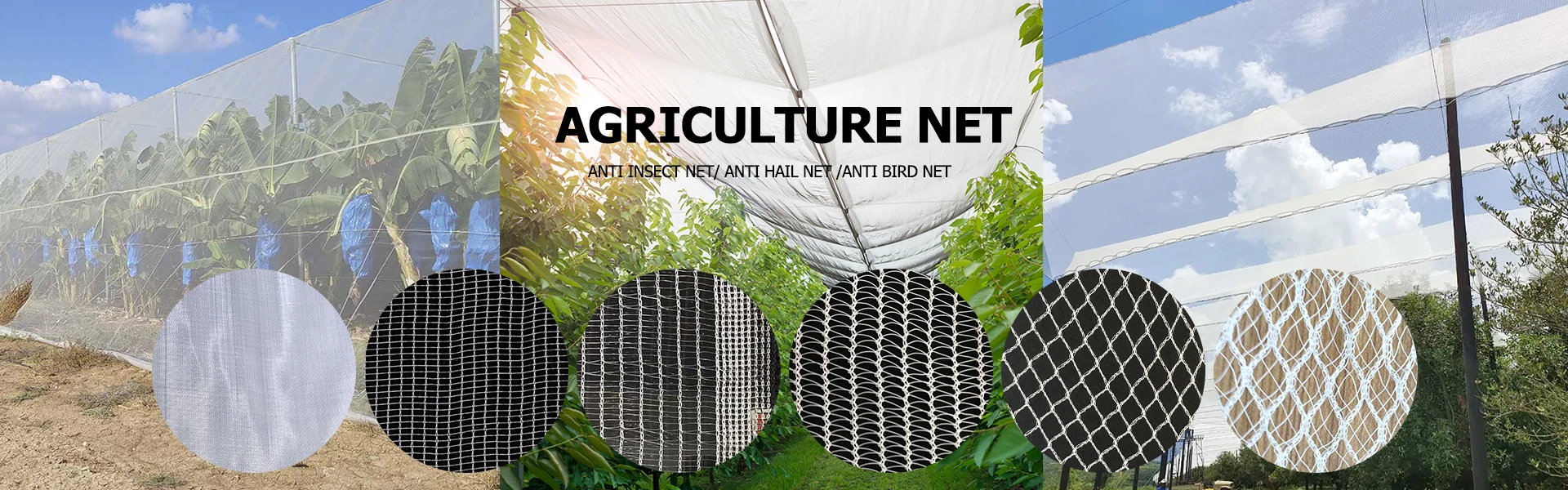 55gsm Raschel Bird and Hail Netting Crystal Netting for apple| Alibaba.com