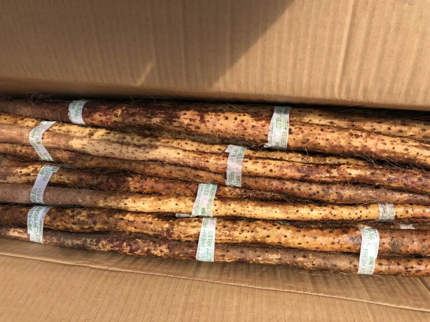 Wholesale Fresh Chinese Yam - Top Grade Quality & Taste