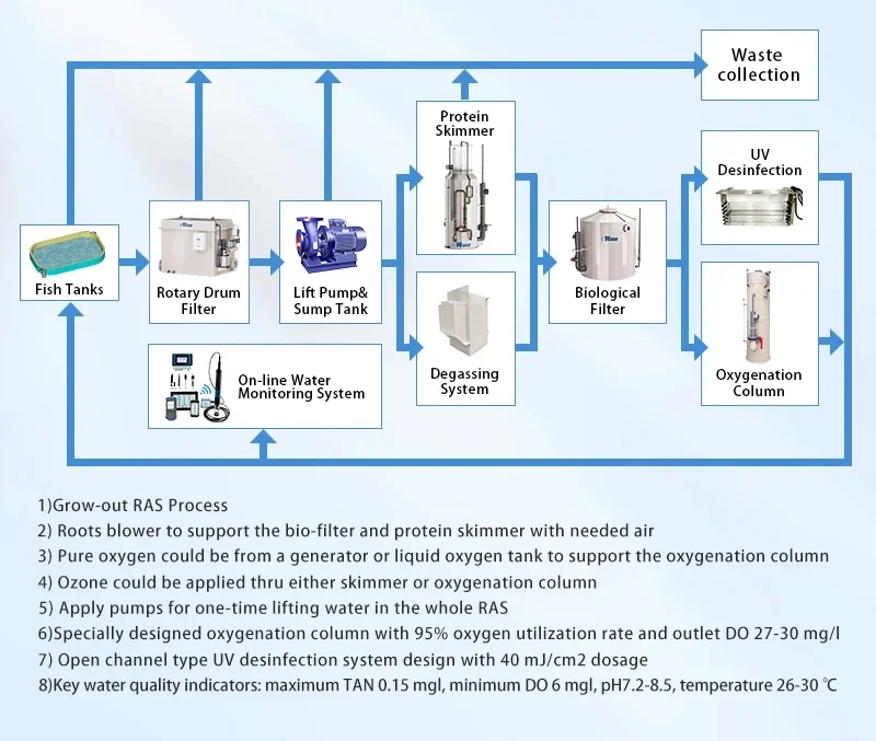 Wholesale Indoor Ras Aquaculture Tilapia Growing System Recirculating ...