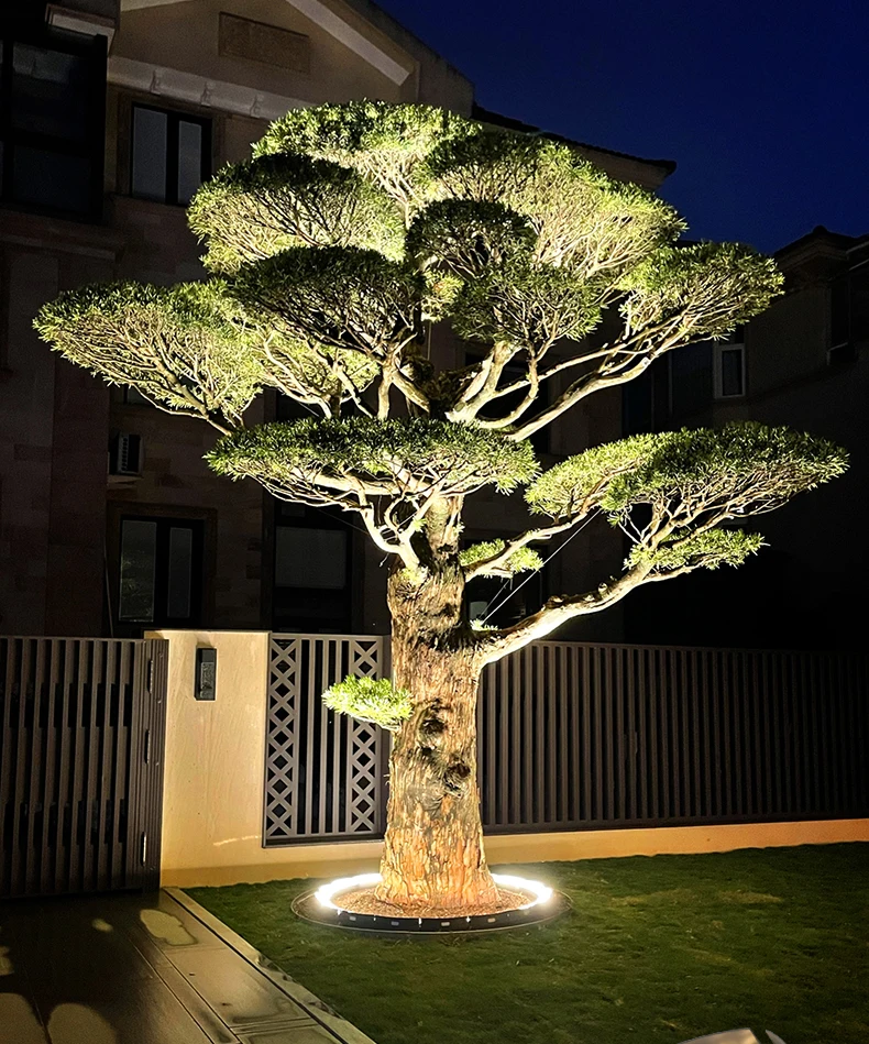 Solar Tree Led Rgb Ring Lights Hugging Outdoor Waterproof Palm ...