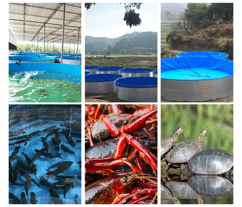 Aquaculture Equipment Fish Farming tank Fish Farming tank| Alibaba.com
