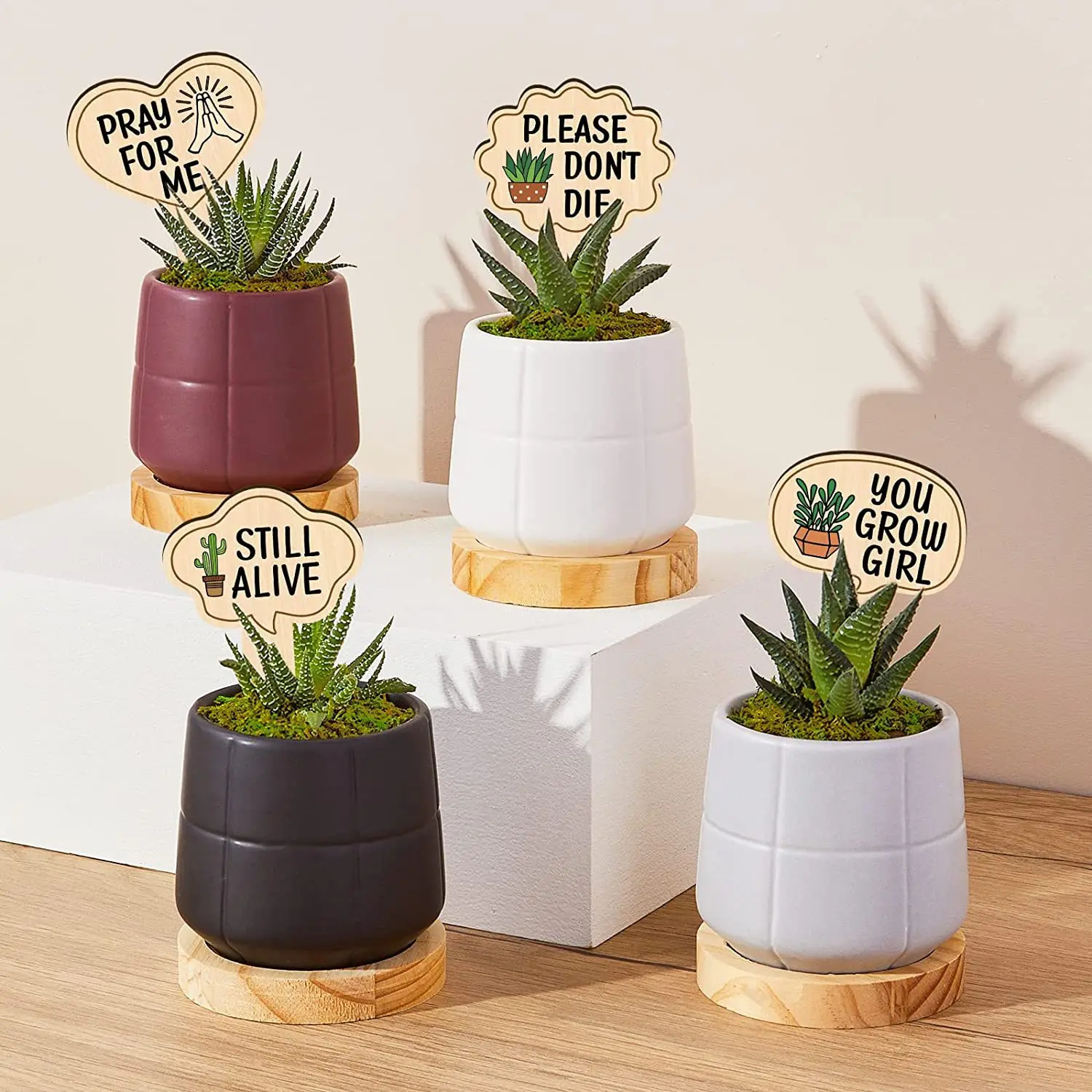 Funny Plant Markers - Custom Wooden Labels for Gardens