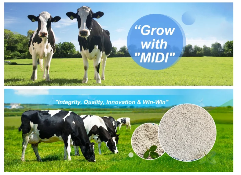 Choline Chloride 60 Feed Additives Cc60% For Animal Feed - Buy Factory ...