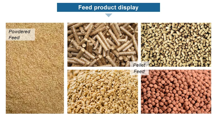 10 Ton Automatic Poultry Feed Production Line - Gofine