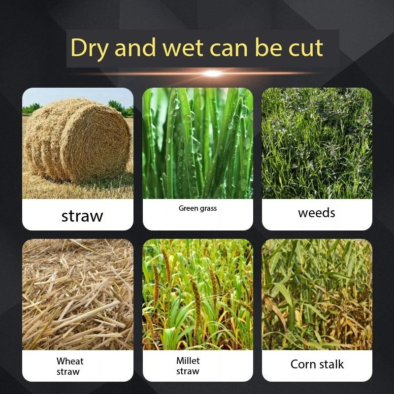 Multifunctional Hay Chopper & Chaff Cutter Machine for Animal Feed ...