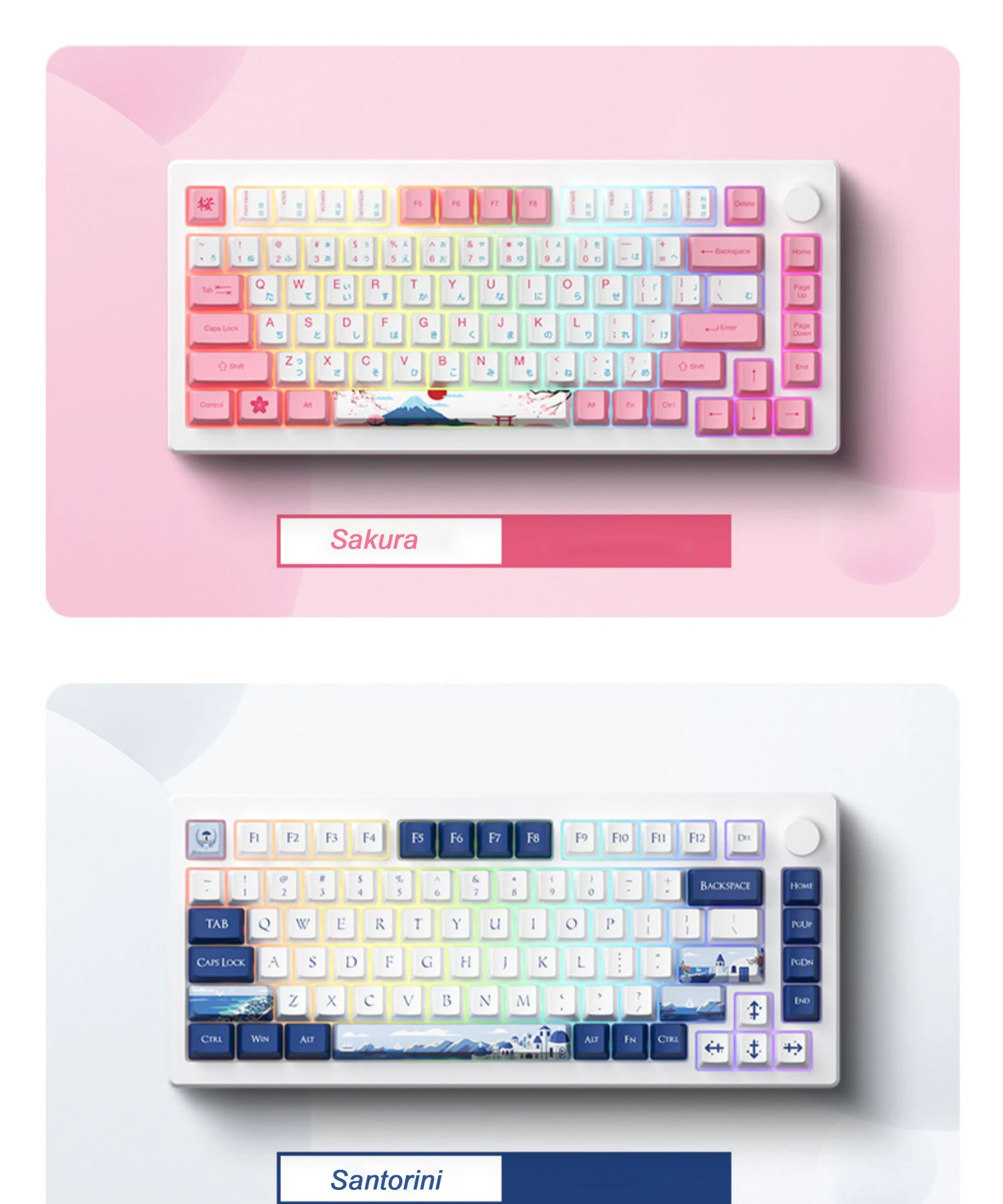 Akko Mod 007b He Ergonomic Rgb Mechanical Keyboard, Wireless & Wired ...