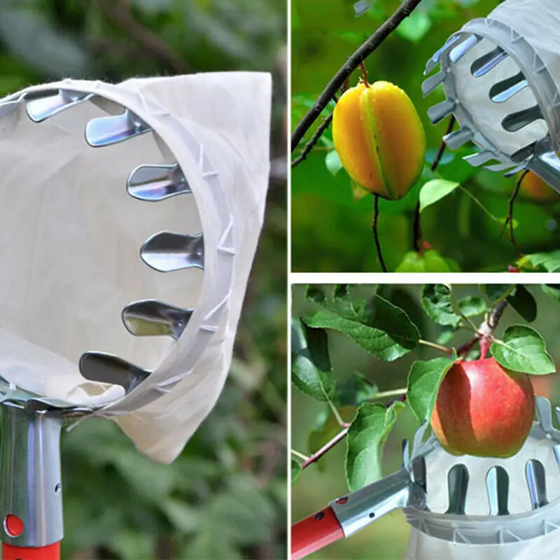 Metal Fruit Picker - Efficient Orchard Gardening Tool