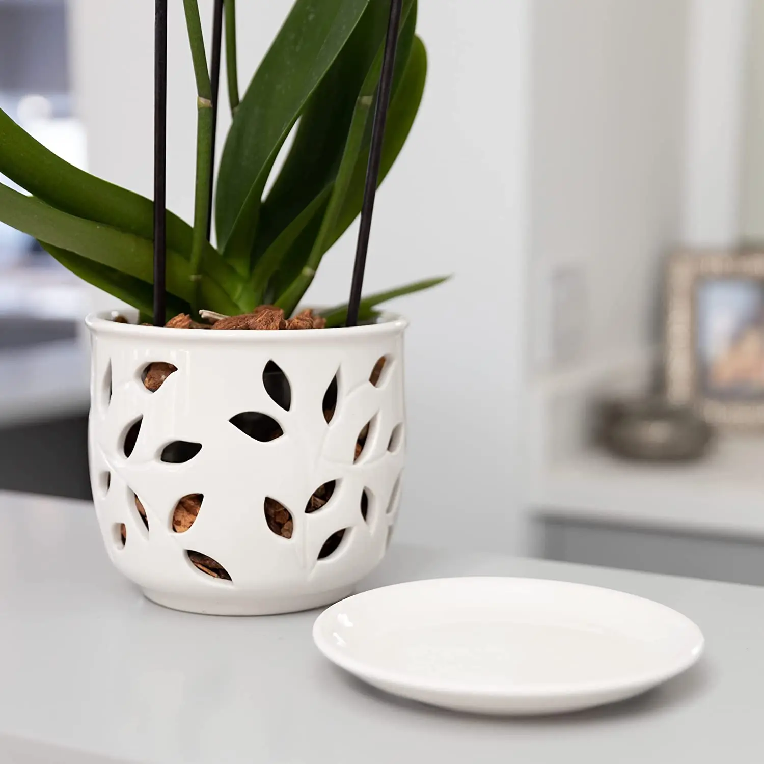 Ceramic Orchid Pot with Saucer - Attractive Floral Design