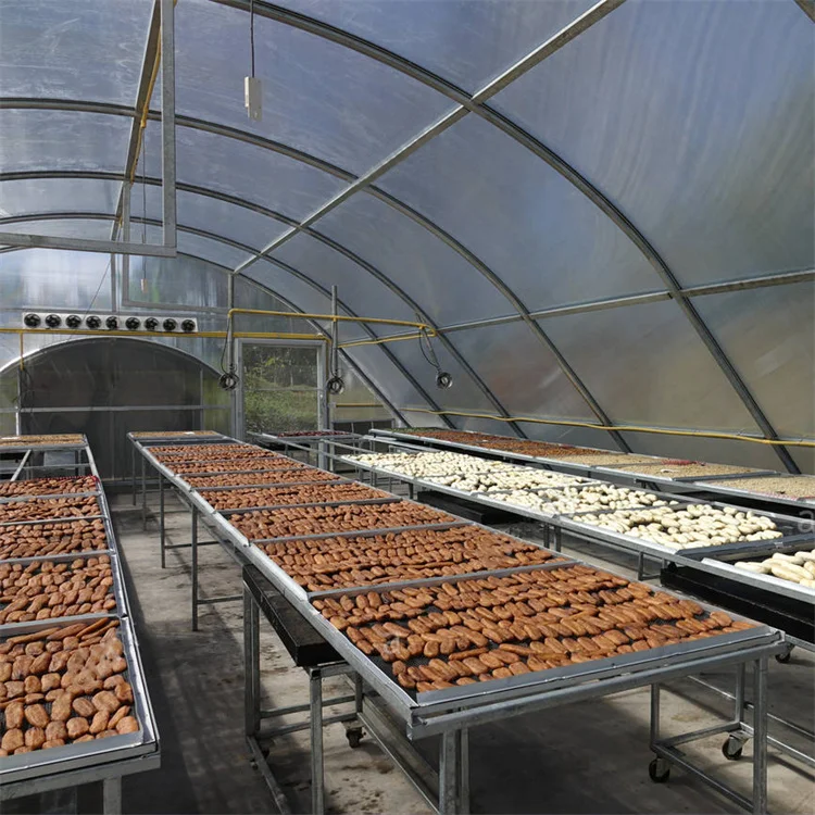 Seepoem Solar Poly Tunnel Greenhouse Dryer for Drying Banana