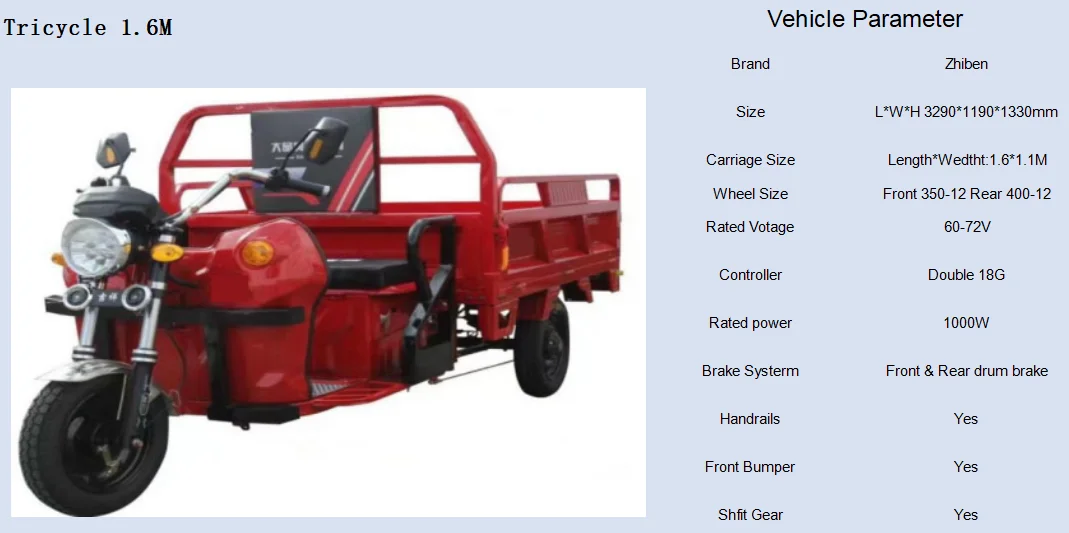 Electric Adult Tricycle Foldable E-Rickshaws Customized Three Wheels ...