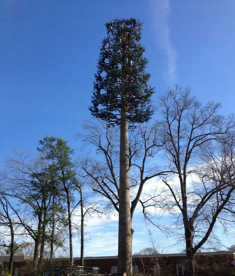 China Customized Stealth Disguised Tree Monopole Tower Manufacturers and Suppliers - Factory ...