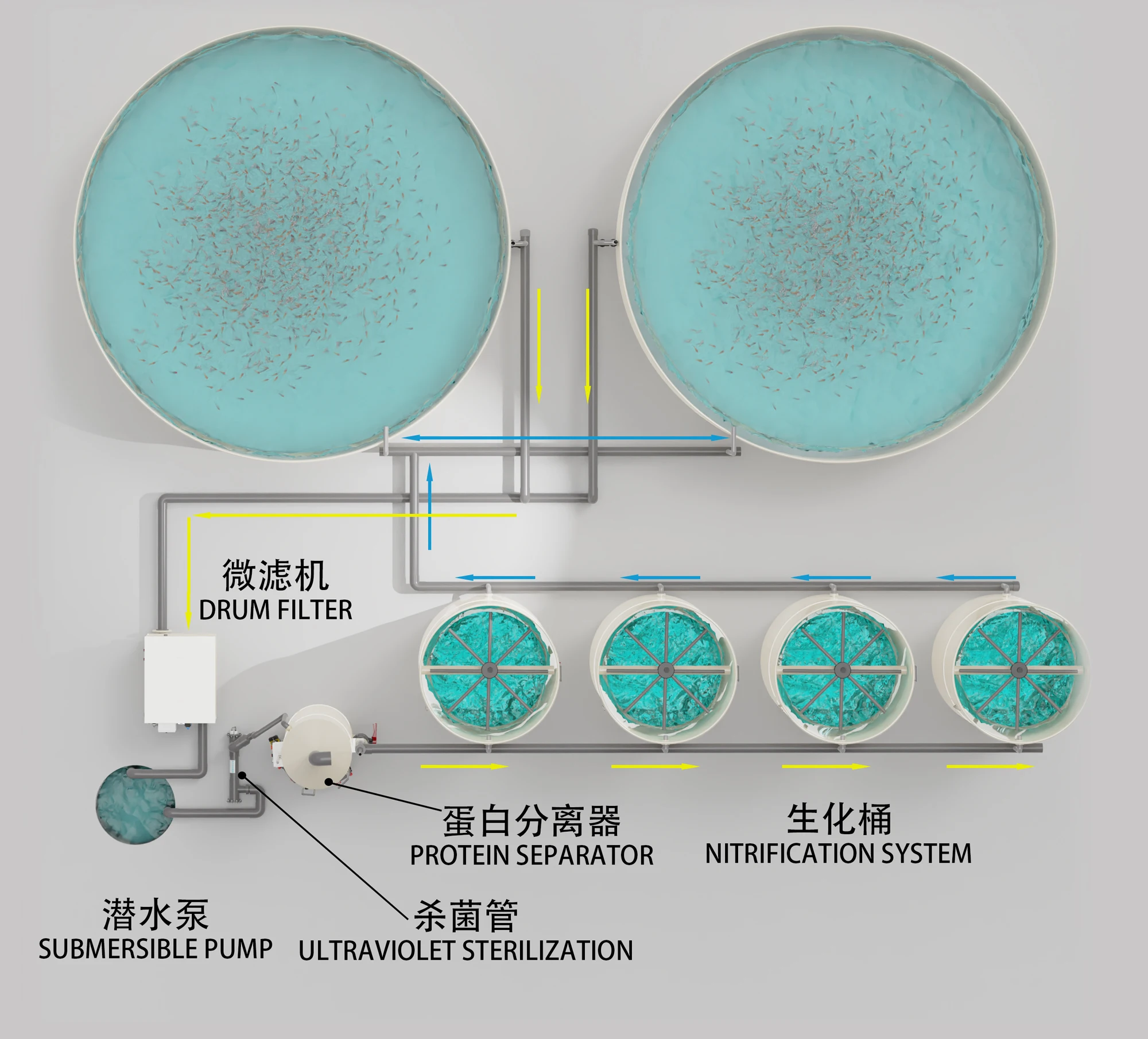 Ras Shrimp Farming Aquaculture System - Efficient & Durable