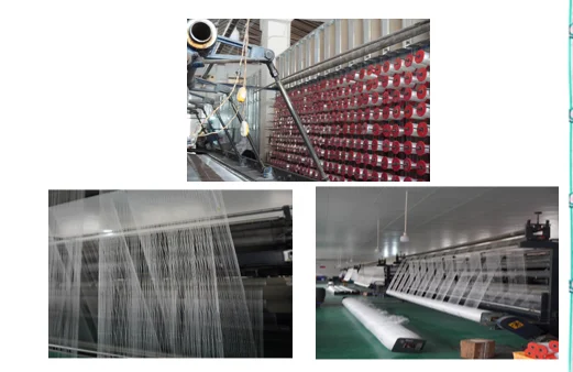 Golden Monkey Japanese Brazil India Kenya Thailand Korea Turkey Vietnam ...