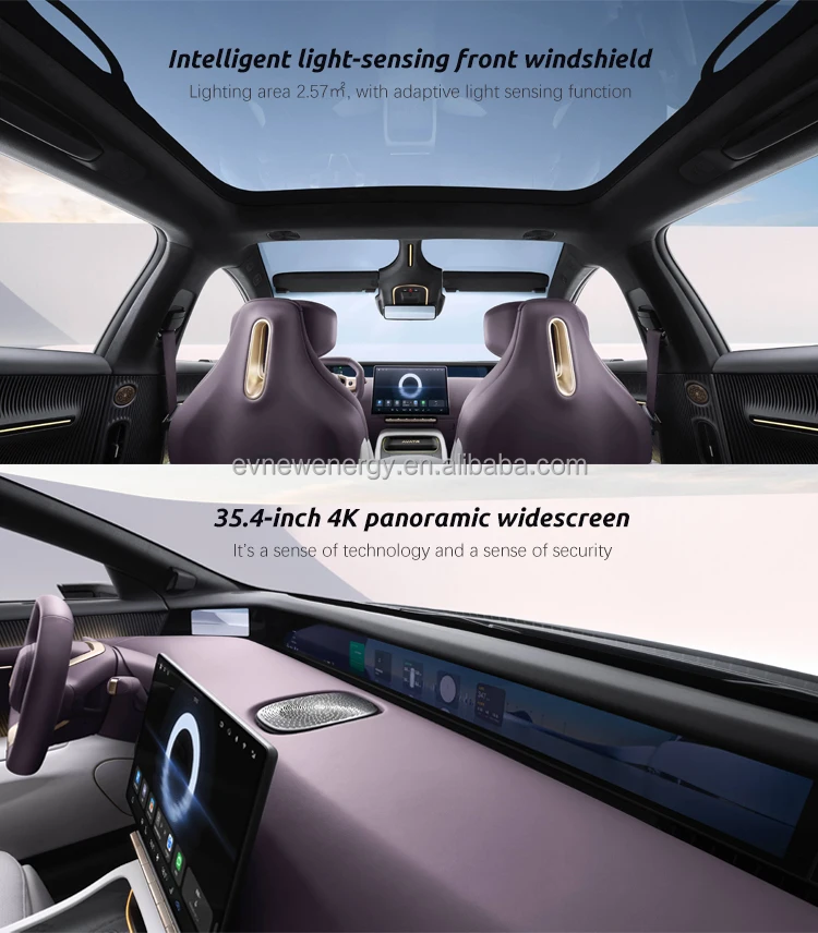 Coche Electrico Avatar 12 Single Motor Dual Motor 4 Door 5 Seat ...