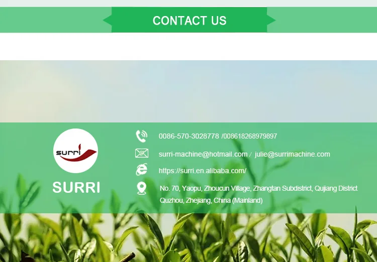 SURRI 200w 300w Portable Coconut Grater for Philippine Malaysia