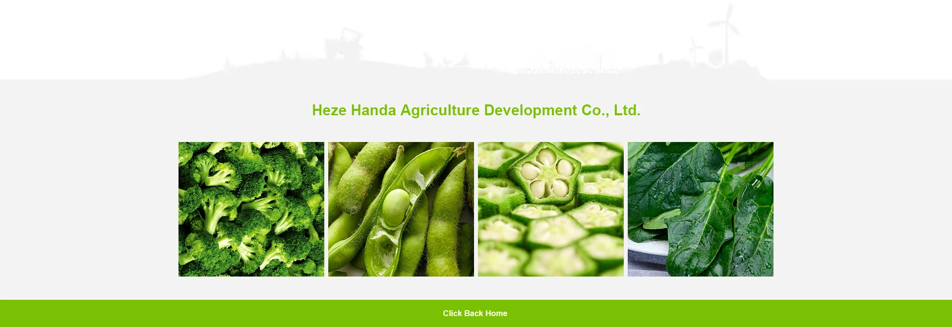 Company Overview - Heze Handa Agriculture Development Co., Ltd.