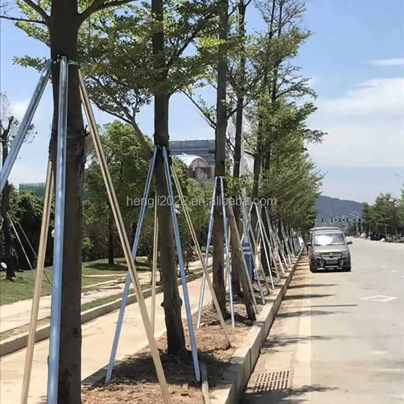 Sturdy Landscaping - Support Large Trees with Iron Hoops