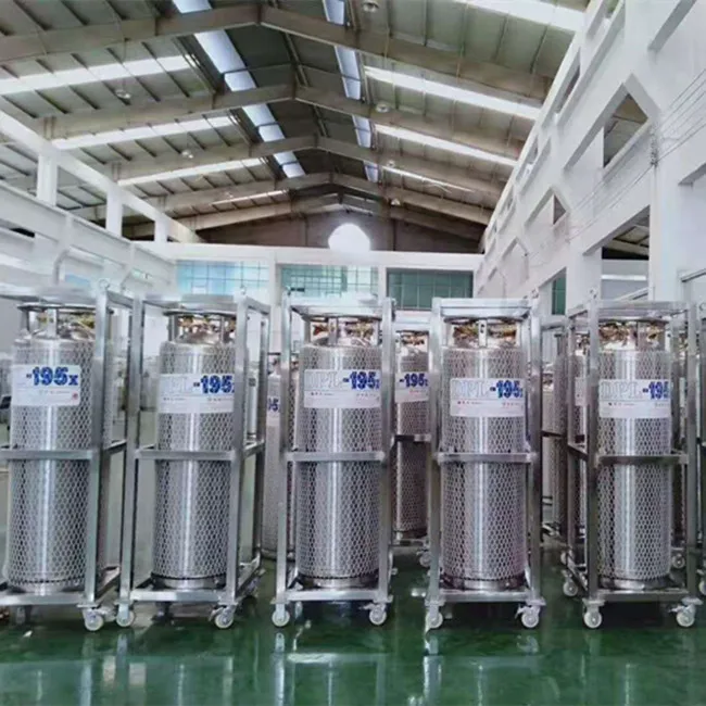 195l 20bar Liquid Nitrogen Thermal Flask Vgl Dura Tank Ln2 Dewar Manufacturers, Suppliers ...
