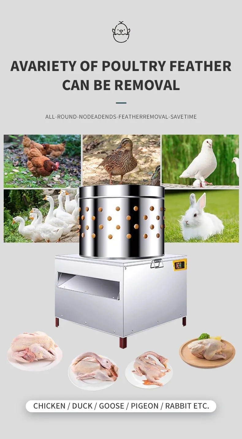 Hhd Industrial Sd80 Chicken Feather Removal Machine Poultry Plucker ...