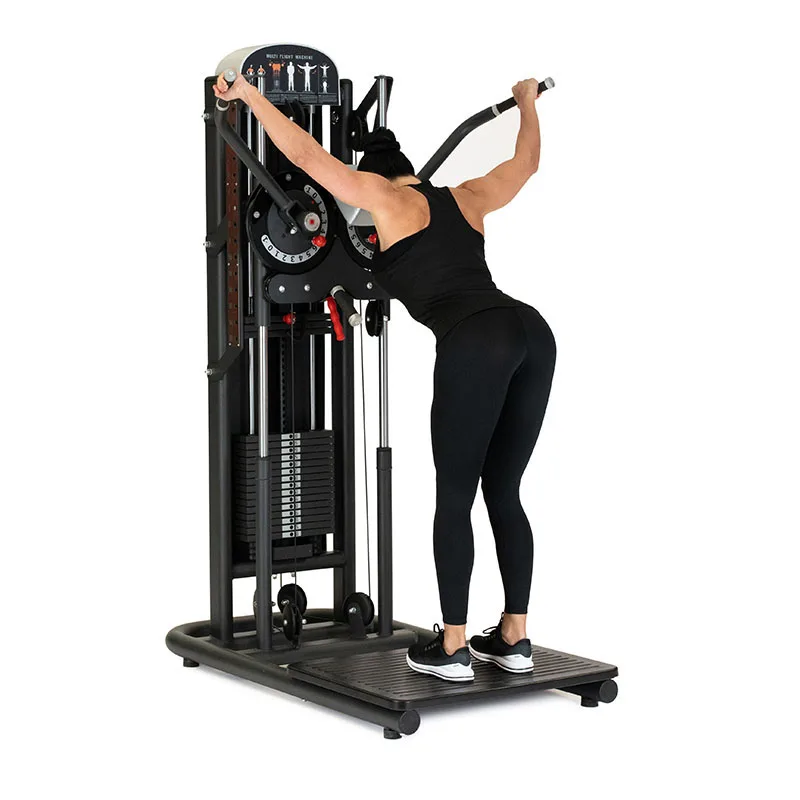 Standing Multi Flight Machine - Weight Lifting & Exercise